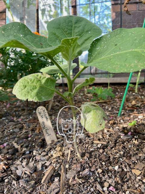 Garden Stake set of 5 – The Royal Threads